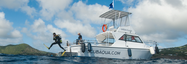 St. Eustatius – World of Diving